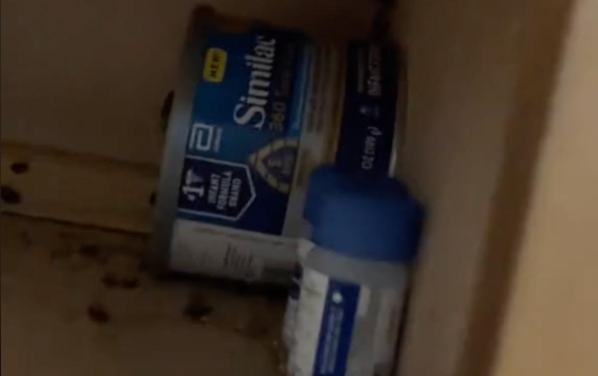 Woman Goes Viral After Sharing Cockroach Infested Apartment