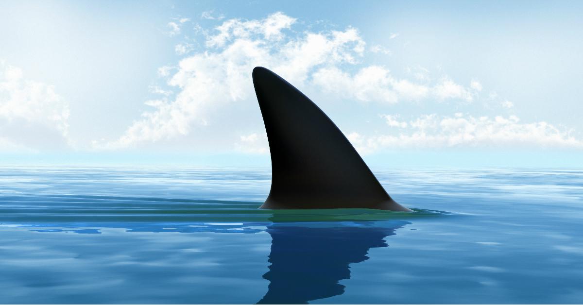 Where Is Reunion Island? The Remote Locale Is a Hot Spot for Sharks