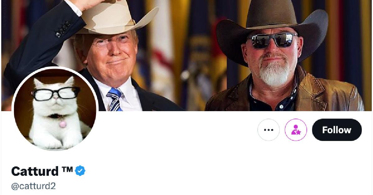 Who Is Catturd? He's a Right-Wing Internet Troll