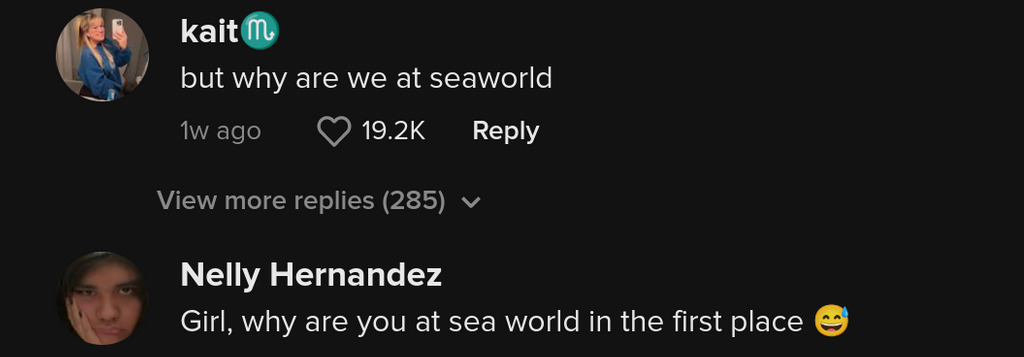 “Hurry Up” — SeaWorld Cashier TikTok Sparks Viral Debate