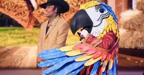 Who Is Macaw on The Masked Singer? All of the Clues So Far