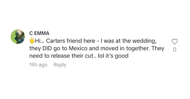 Why Were Renee and Carter Cut from Love Is Blind? Details