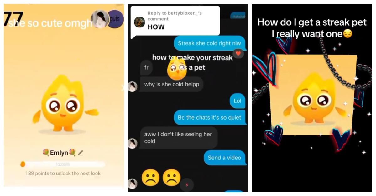 Here's How to Get a "Streak Pet" on TikTok