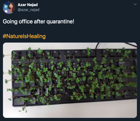 'Nature Is Healing' Jokes That Will Make You Giggle During This Dark Time