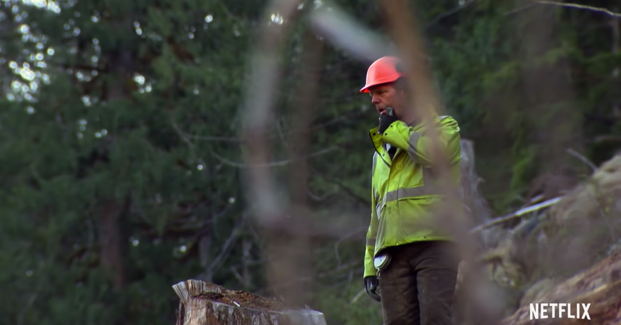 Kevin Wenstob Net Worth – Plus, 'Big Timber' Logger Salaries