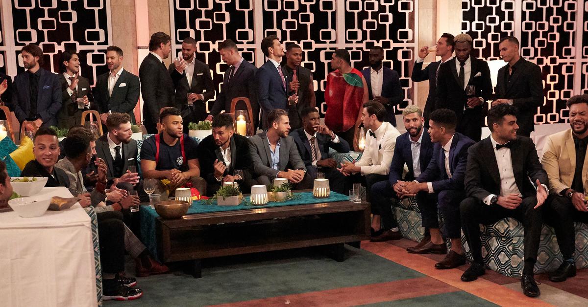 'The Bachelorette' 2021 Men — Who Are Michelle Young's Contestants?