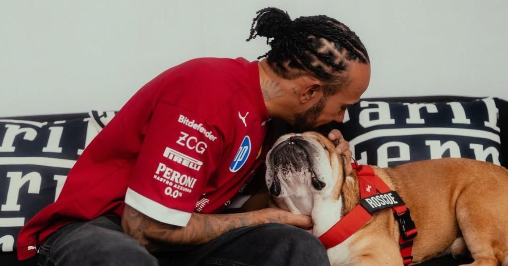 Lewis Hamilton’s Dog, Roscoe’s Cause of Death Explained