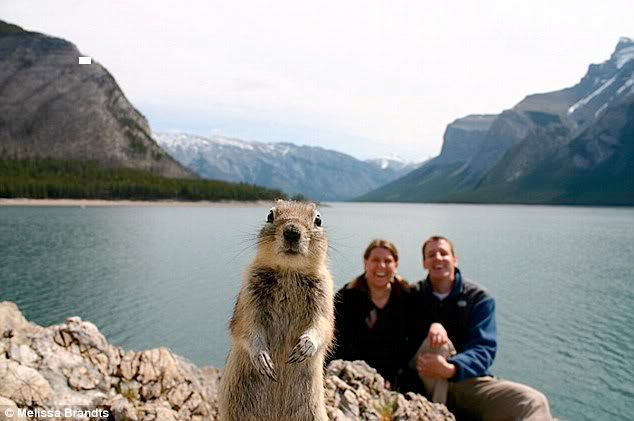 20 Animal Photobombs That Are Sure to Brighten Your Day