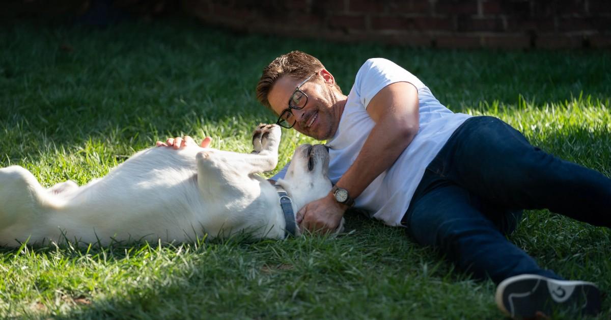 Netflix's Film 'Dog Gone' Is Based on an Incredible True Story