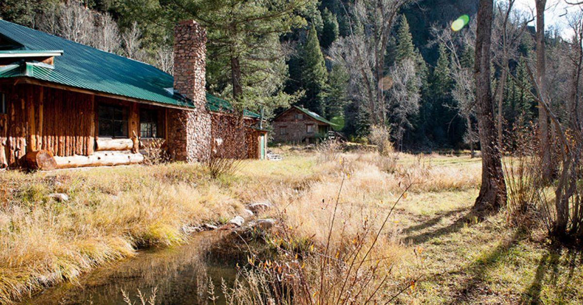 What Happened to the Bug Juice Camps? Not All Are Operational