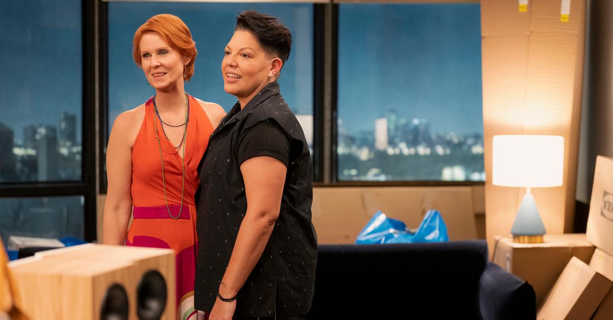 Why Did Miranda and Steve Break Up in And Just Like That...?