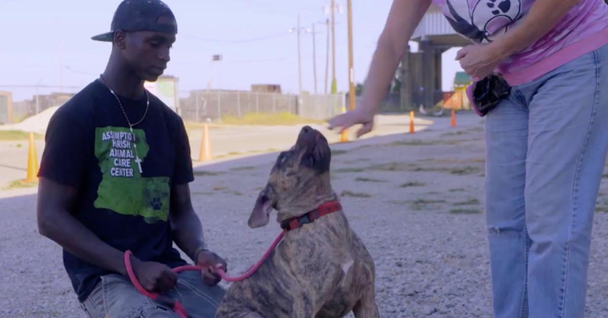 What Happened to Darius on ‘Pit Bulls and Parolees'?