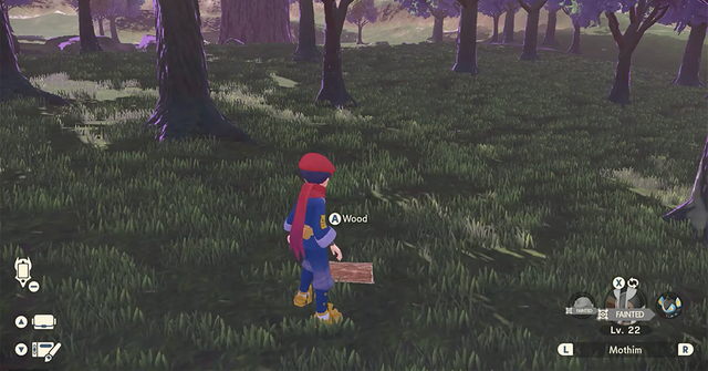 Locations to Find Wood in 'Pokémon Legends: Arceus' — How to Get Wood