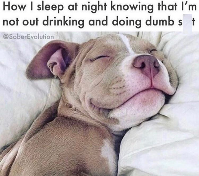 13 Dry January Memes for Anyone Who Needs Extra Encouragement