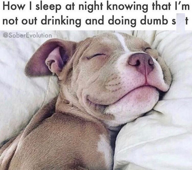 13 Dry January Memes for Anyone Who Needs Extra Encouragement