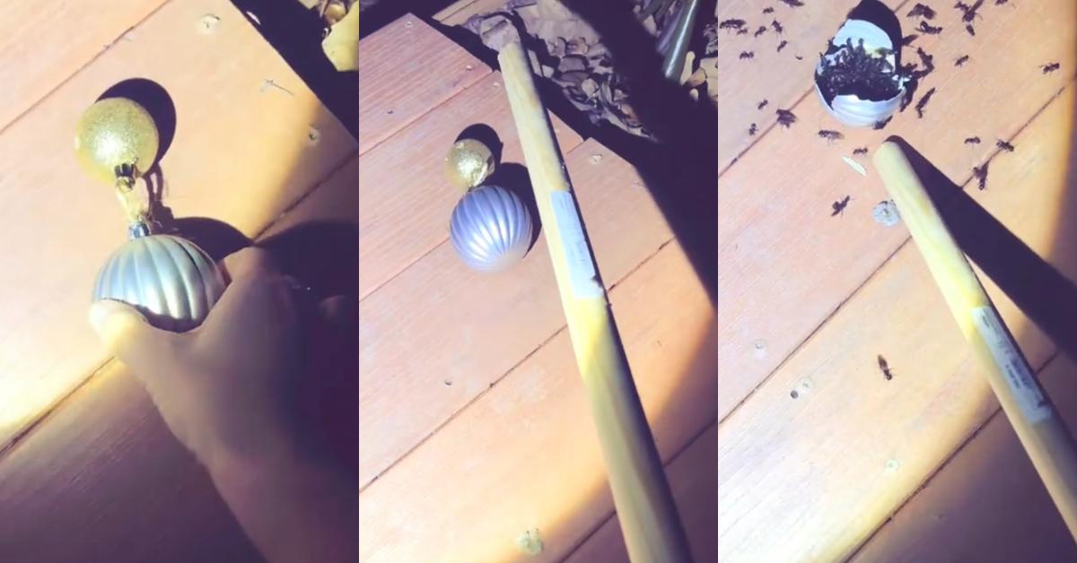 Woman Finds Termites in Christmas Ornaments