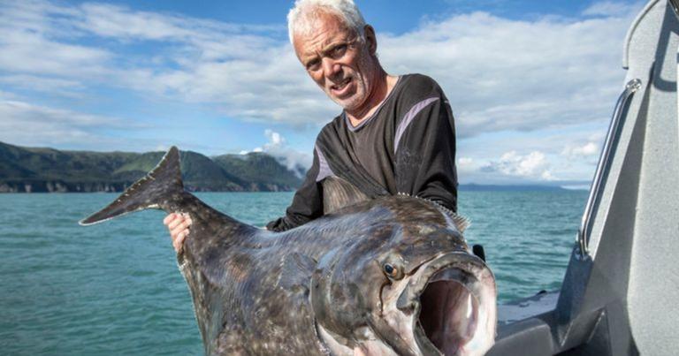 Is 'Dark Waters' Star Jeremy Wade Married? Plus More on the Animal ...