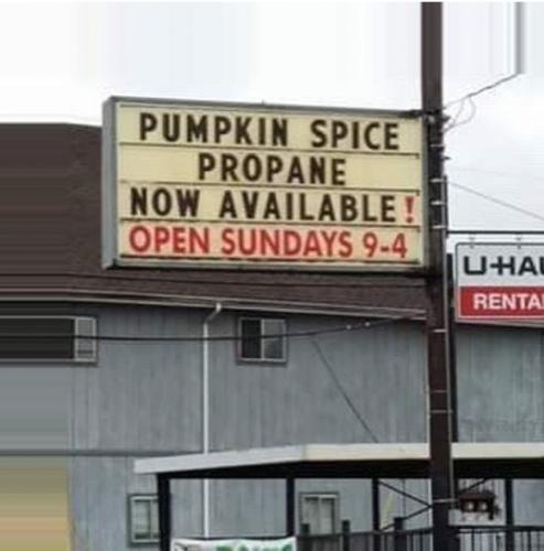 #Basic Pumpkin Spice Memes to Send to Your Friends and Family