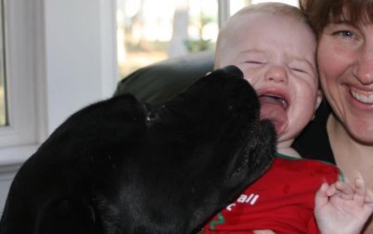 Who Are Iain Armitage's Parents? Let's Meet the Child Actor's Folks