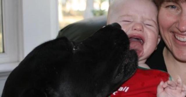 Who Are Iain Armitage's Parents? Let's Meet the Child Actor's Folks