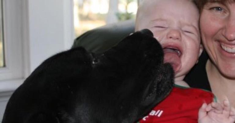 Who Are Iain Armitage's Parents? Let's Meet the Child Actor's Folks