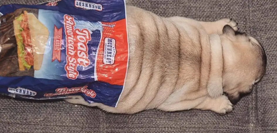 These Forbidden Snacks Look Edible, But You Should Not Eat Them