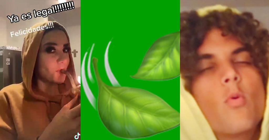 What Does The Leaf Emoji Mean On TikTok Here s A Breakdown