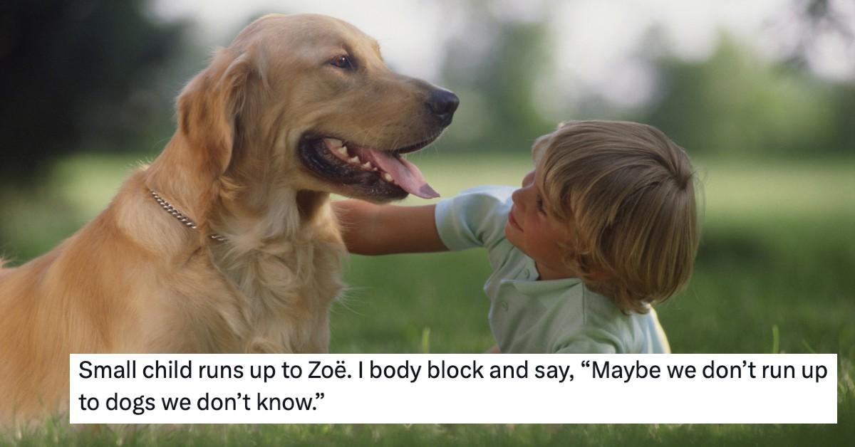 Toddler Runs to a Service Dog, Sparks Debate on Parenting