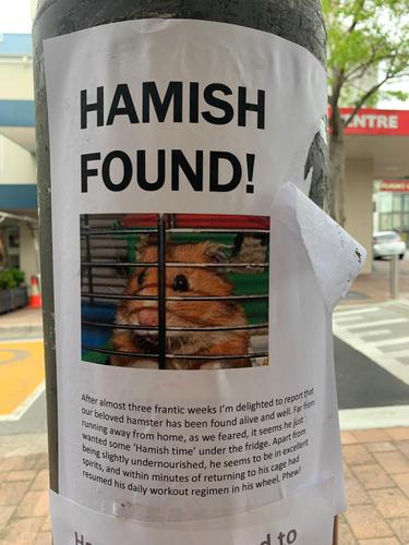 Lost Hamster Posters Detail a Dramatic Hamster Journey