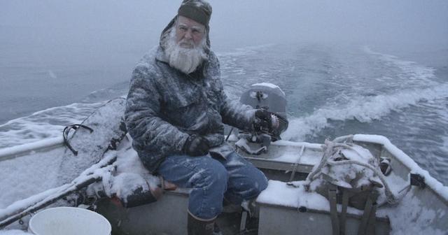 'Port Protection' — Latest News and Updates