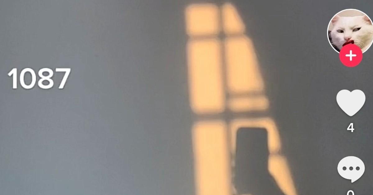 What Is the Meaning of the Code 1087 on TikTok? Details