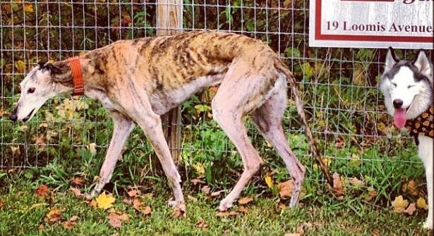 20 Animal Photobombs That Are Sure to Brighten Your Day
