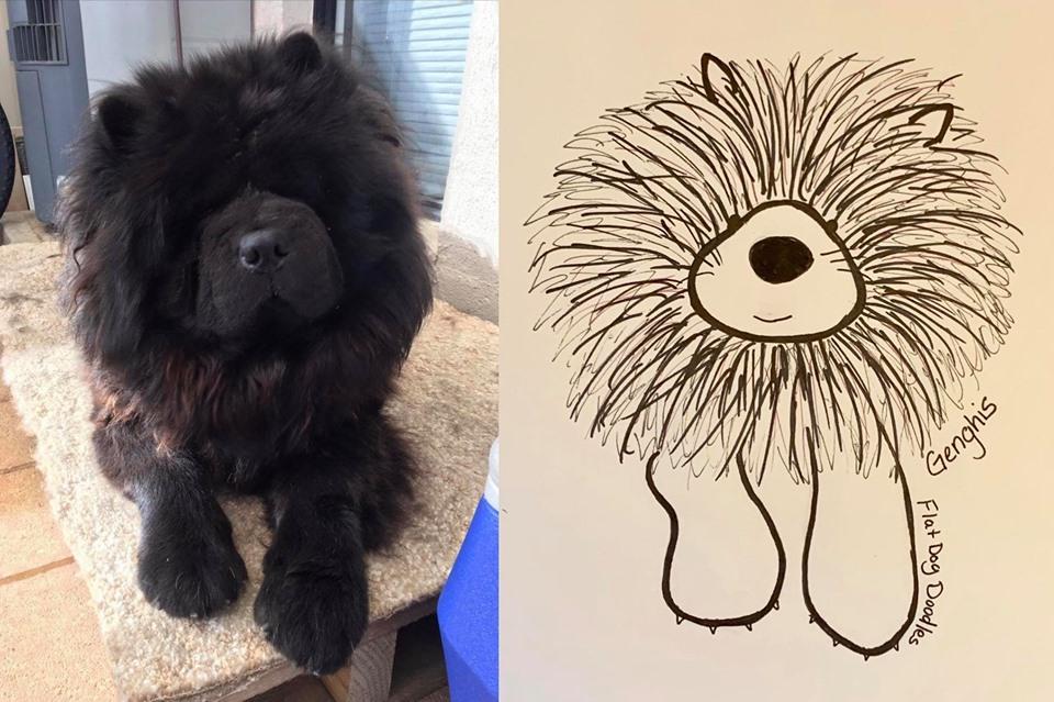 Person Draws Hilariously Simplistic Photos of Their Dogs and Went ...