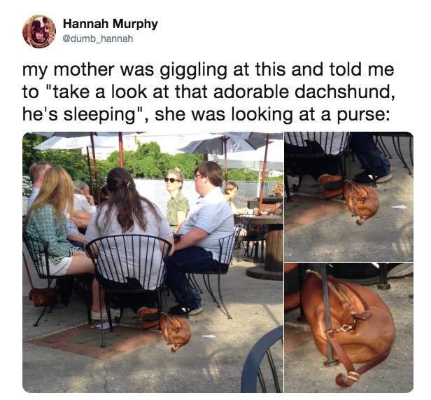 Giant Misunderstandings That Led to Hilarious Fails