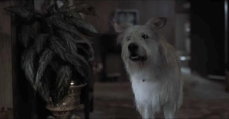 What Happened to Will Byers' Dog in 'Stranger Things'?