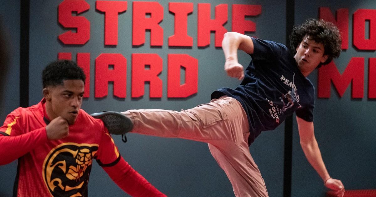 Did Cobra Kai Win An Emmy Plus The Shows Nominations