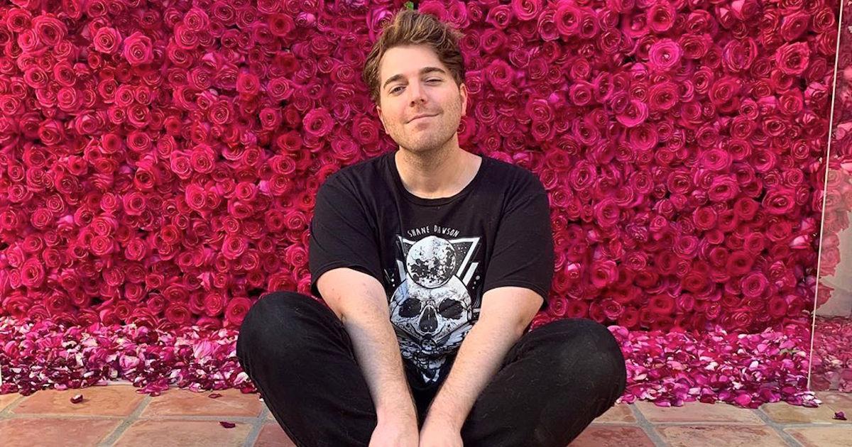 Is Spill Sesh Morgan Adams' Work? Check Out the Theories Here