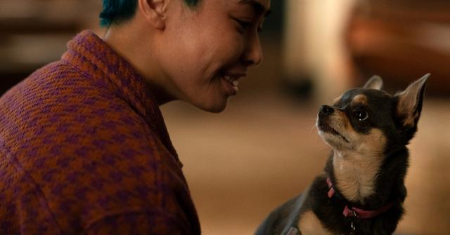 Who Plays the Dog Betty in 'Will Trent'? Meet Bluebell (EXCLUSIVE)