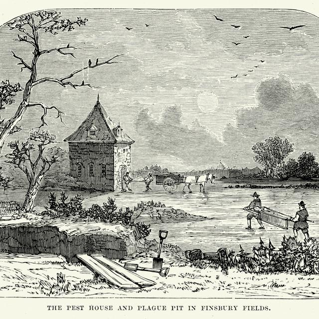 Is There a Vaccine for the Bubonic Plague? What You Need to Know!