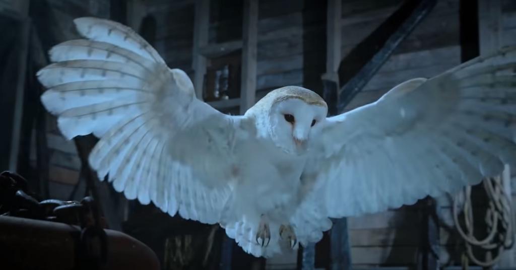 Does 'Tiny Creatures' Showcase Animal Abuse? Director Denies Claims