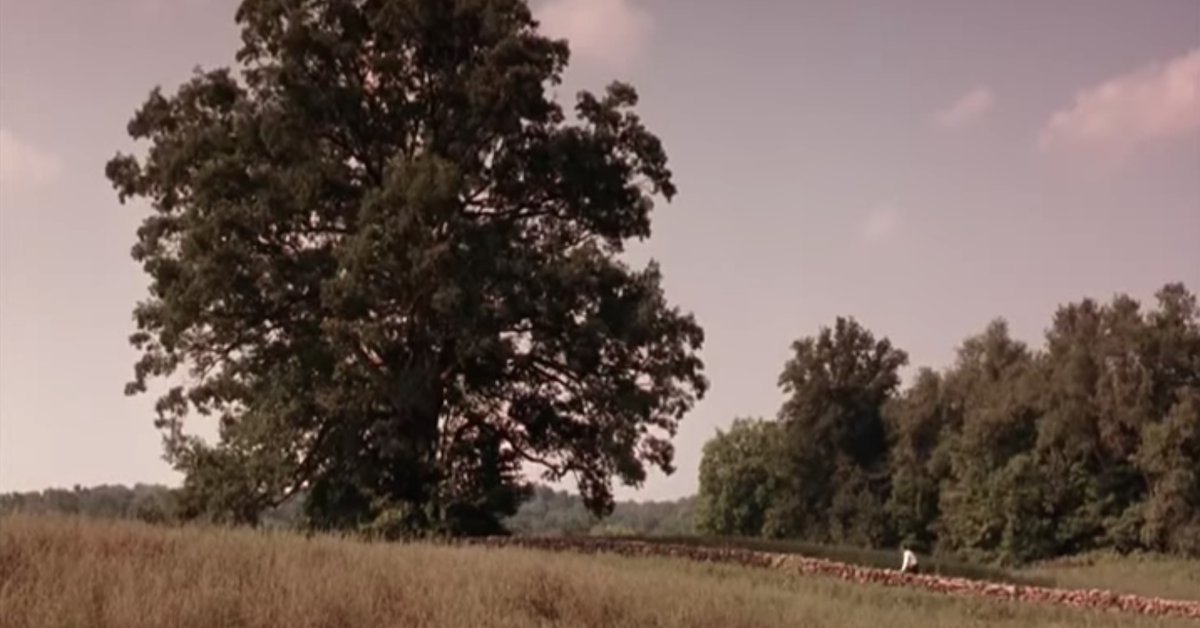 'Shawshank Redemption' Facts & Trivia