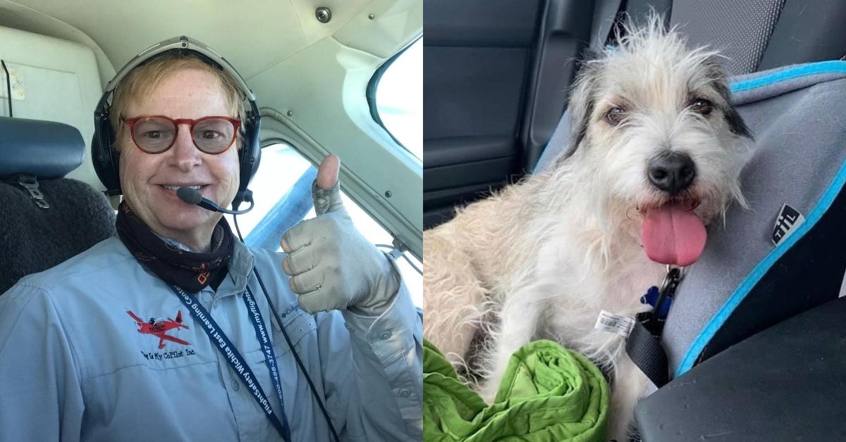 Pilot Saves Thousands of Animals by Flying Them to No-Kill Shelters