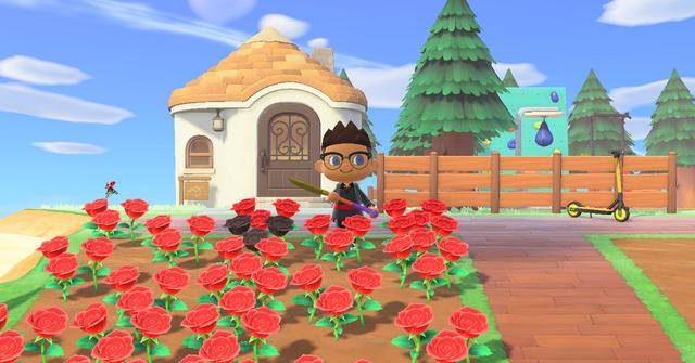How to Get Black and Gold Roses on 'ACNH': A Guide to the Rarest Roses