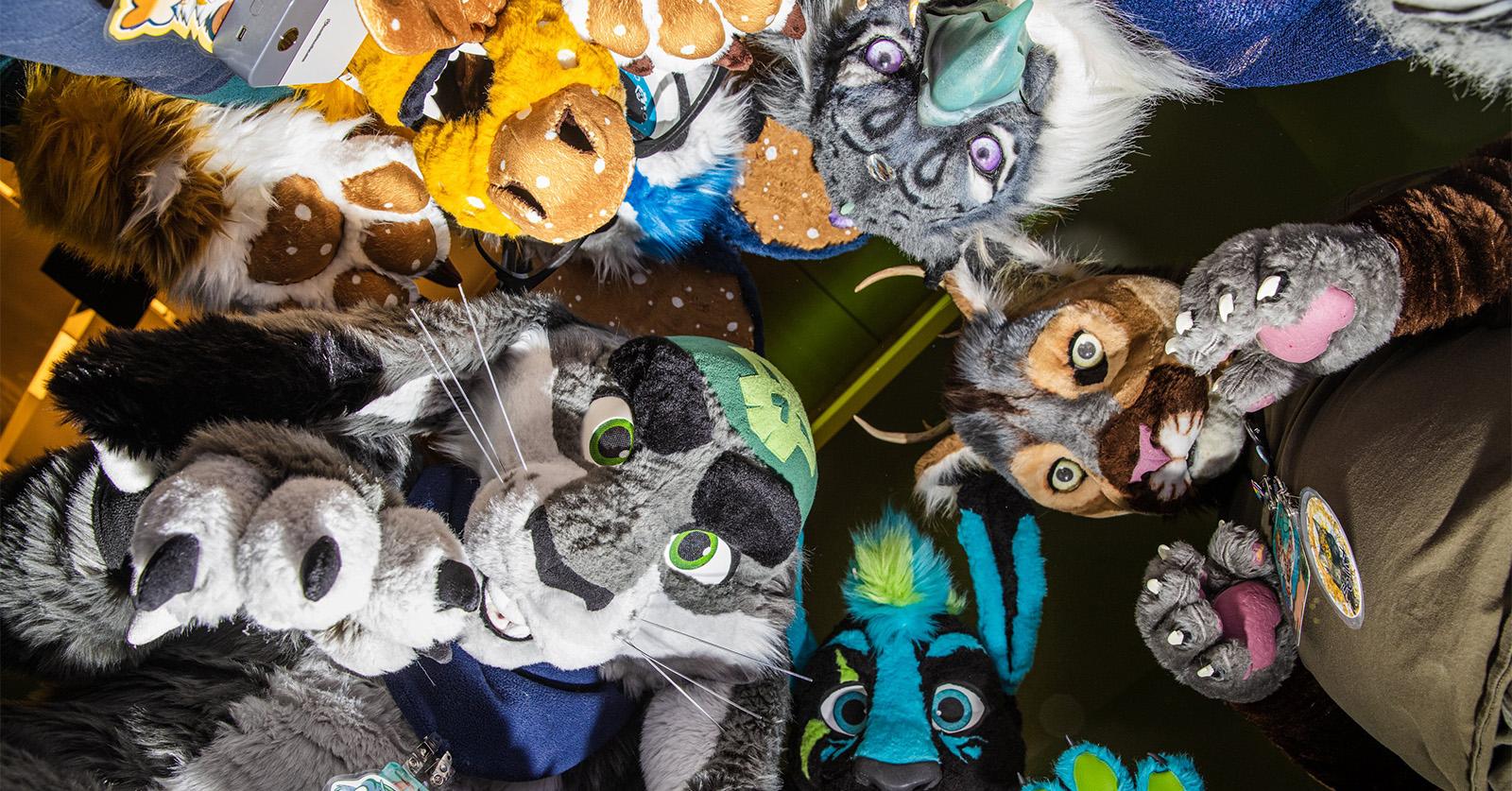 What Happened to Fur Affinity? The Platform Was Hacked