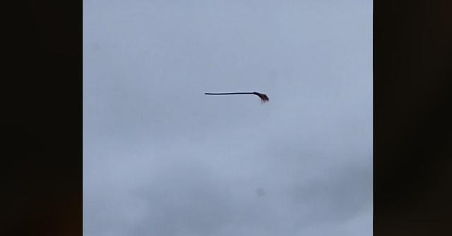 A Floating Broom Has People Freaking out as It Trends on TikTok