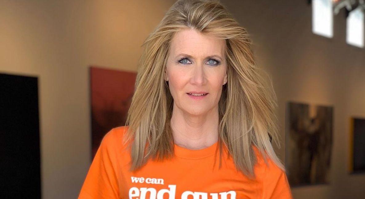 Laura Dern Plastic Surgery? 'Big Little Lies' Beauty Secrets Revealed