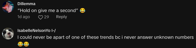 Woman Prank Calls Sister’s Friend for Job Reference, Chaos Ensues