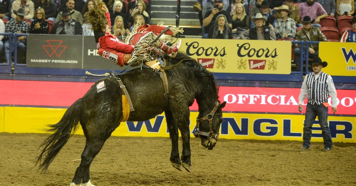 What Happened to Rocker Steiner? Neck Injury Update