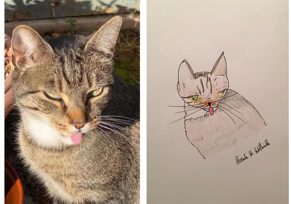 Man With Little Artistic Skill Draws Bad Pet Portraits for Charity