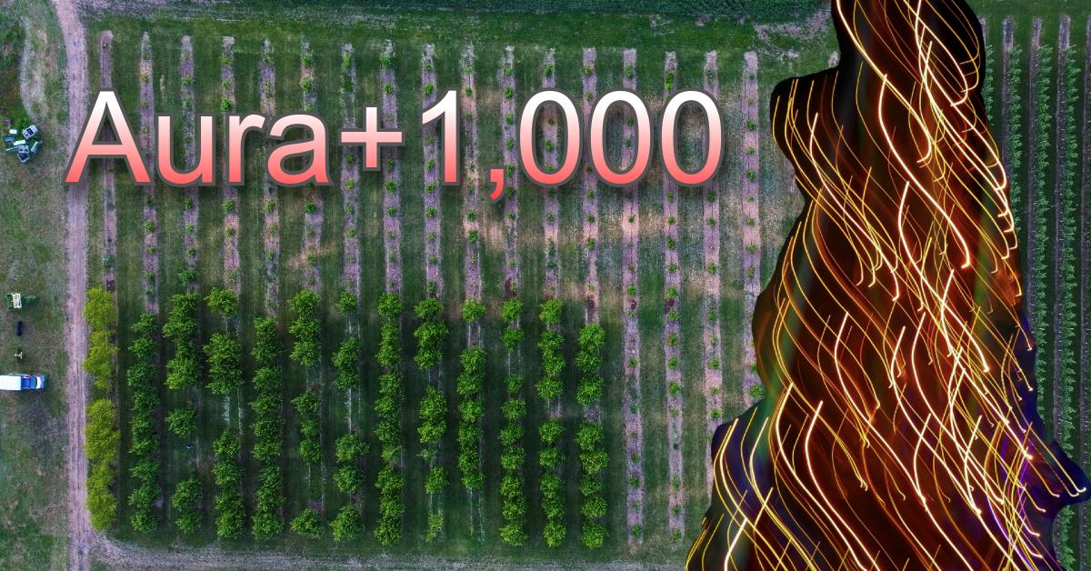 What Does Aura Farming Mean?